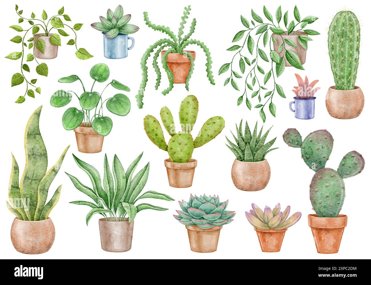 Hand drawn house plants Cut Out Stock Images & Pictures - Alamy