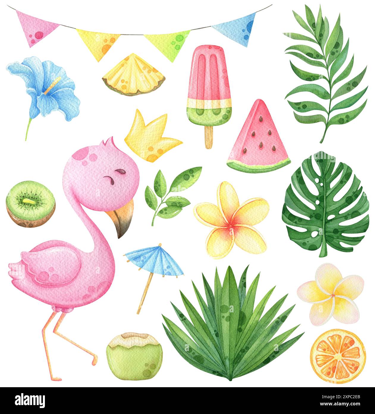Watercolor tropical paradise bird Cut Out Stock Images & Pictures - Alamy
