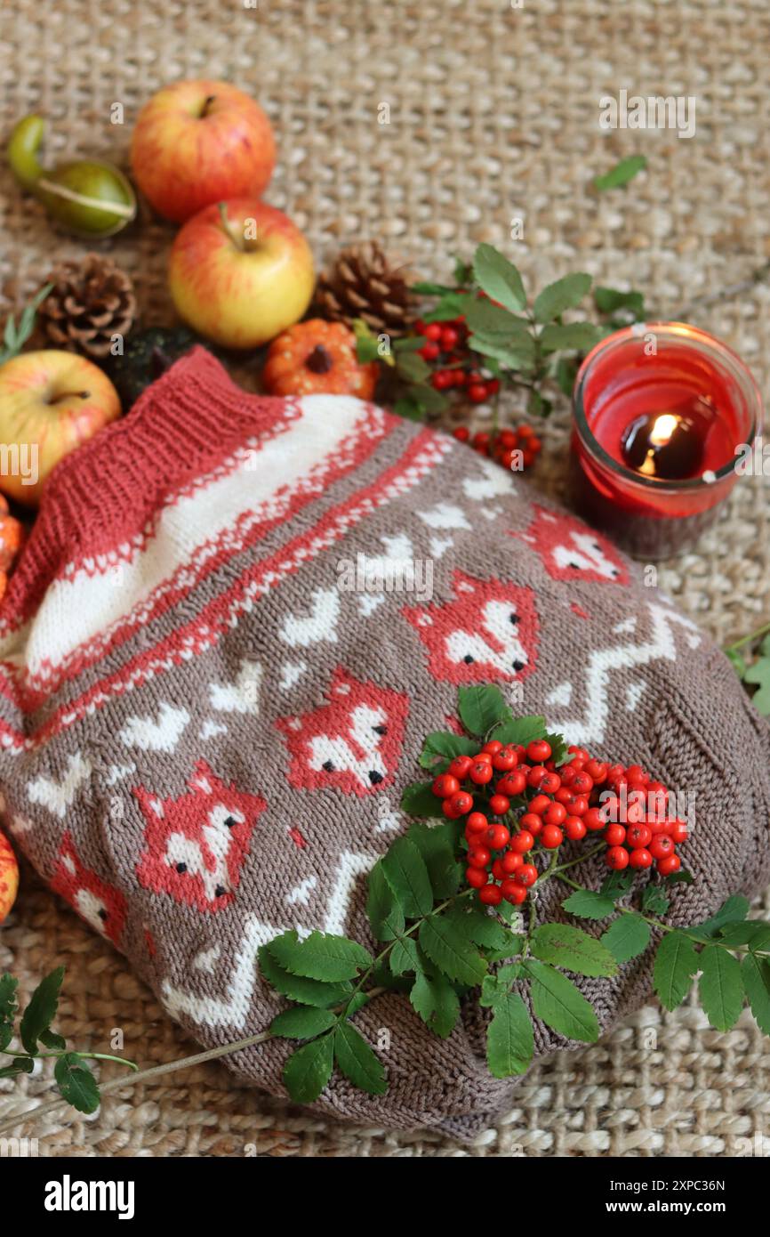 Autumn still life with knitted brown and red sweater, apples, berries ...