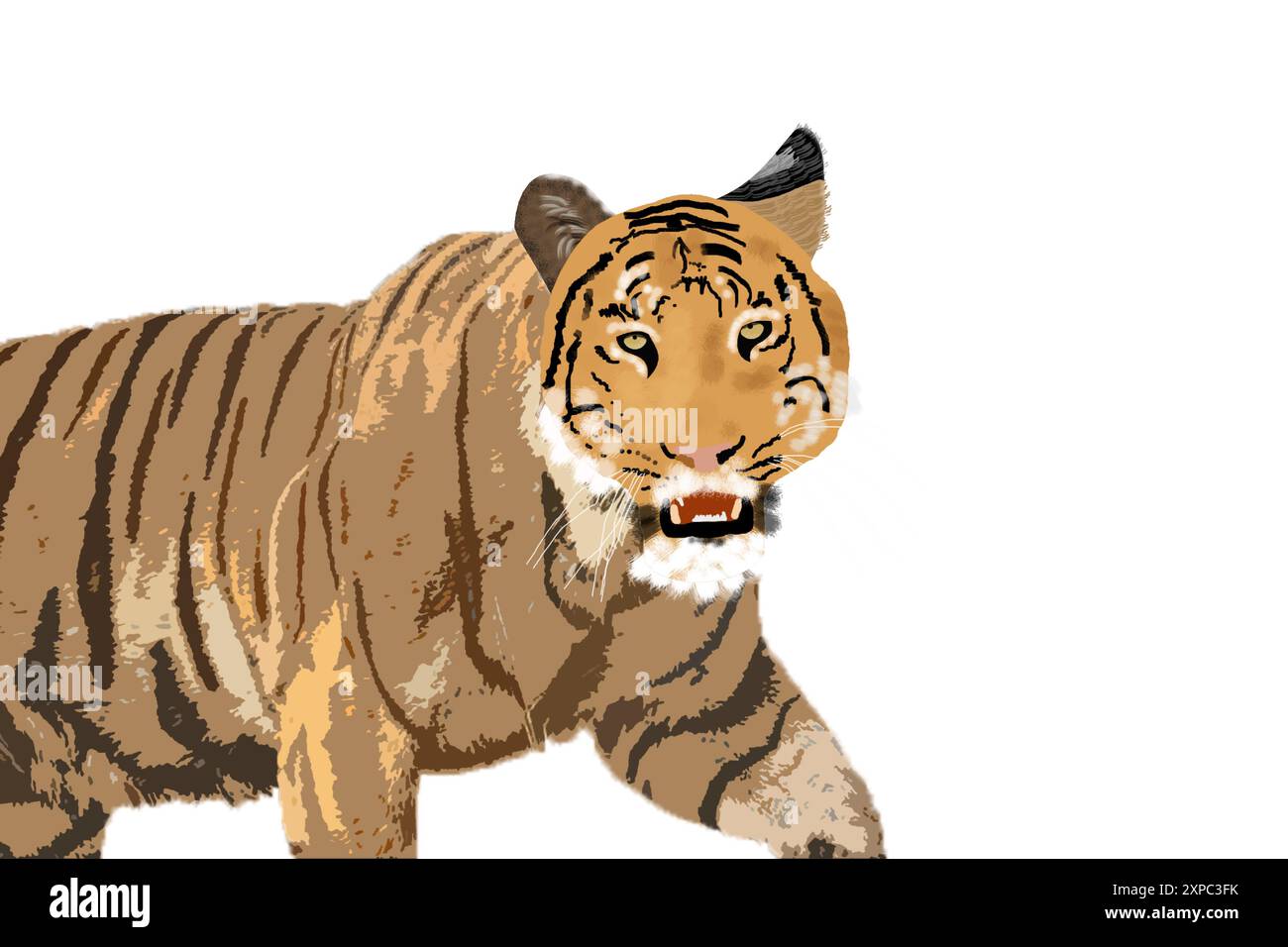 Tiger stalking Stock Vector Images - Alamy