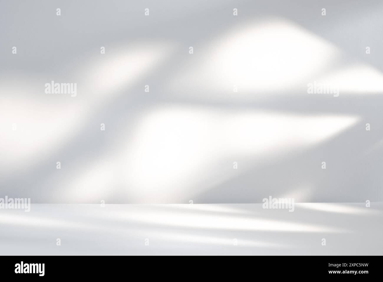 Soft Natural Light Casting Gentle Shadows on a Minimalist White ...