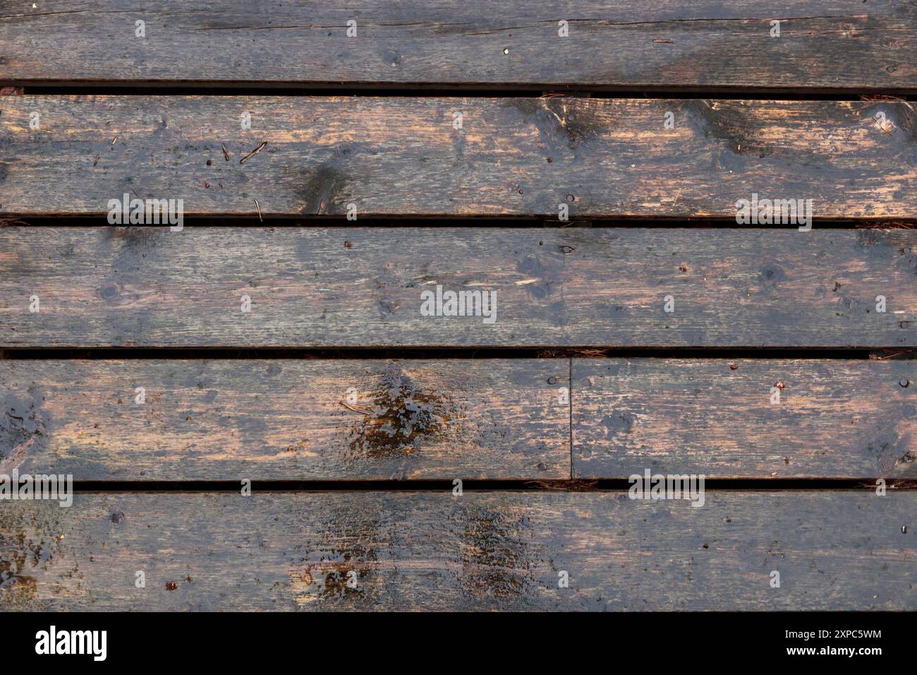 An wooden deck wet from rain, old terrace with some mold spots caused ...