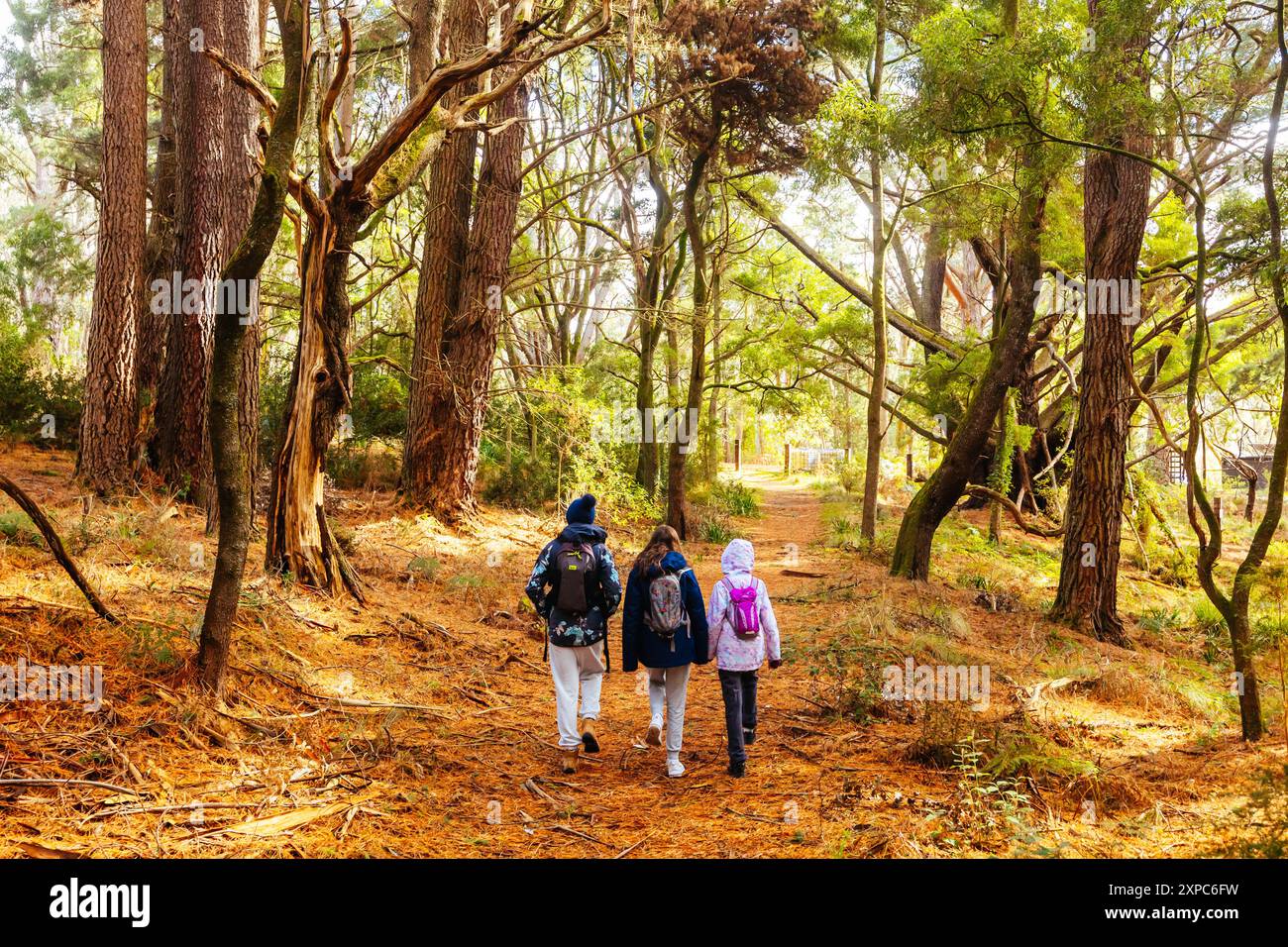 Lerderderg Heritage River Walk in Melbourne Australia Stock Photo - Alamy