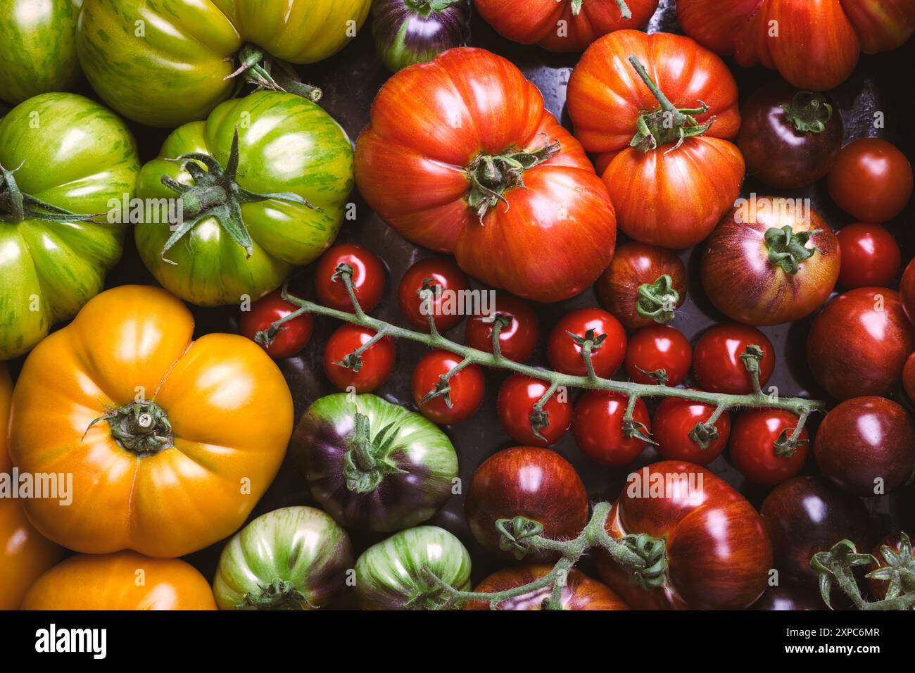 Different sizes and varieties ripe tomatoes close up. Mix of ...