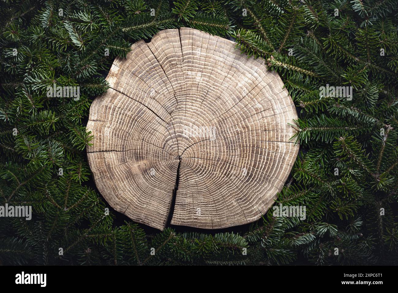 Timber frame from branches hi-res stock photography and images - Alamy