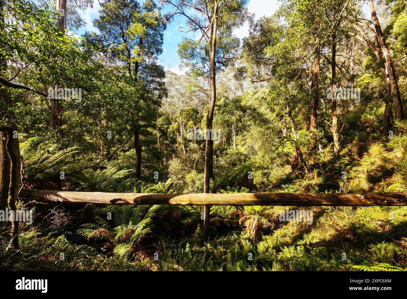 Lerderderg Heritage River Walk in Melbourne Australia Stock Photo - Alamy