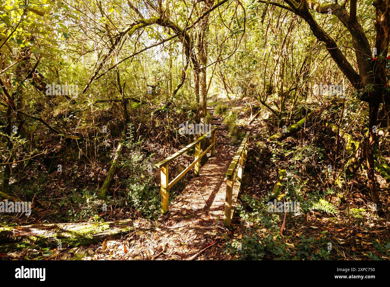 Lerderderg Heritage River Walk in Melbourne Australia Stock Photo - Alamy