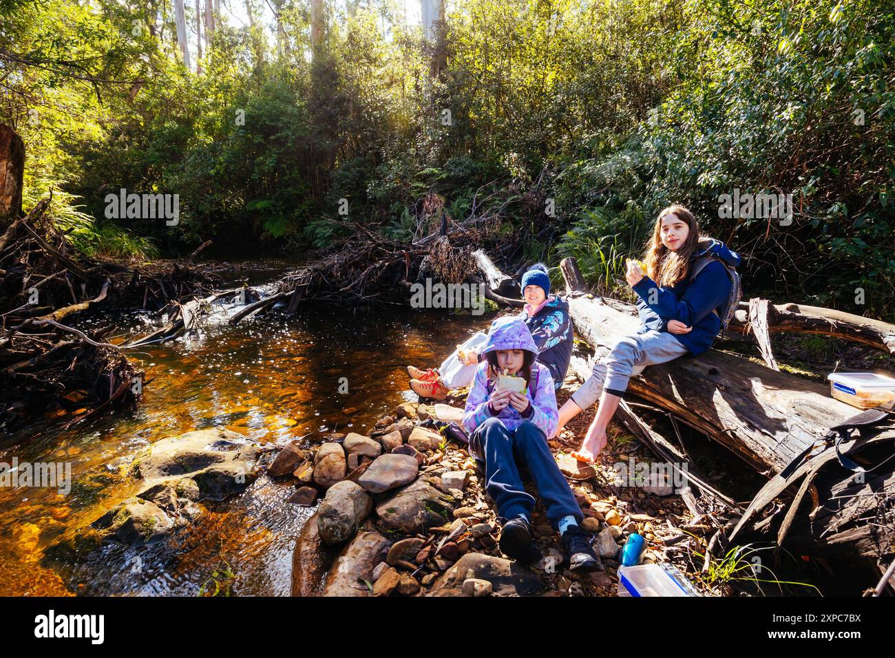 Lerderderg Heritage River Walk in Melbourne Australia Stock Photo - Alamy