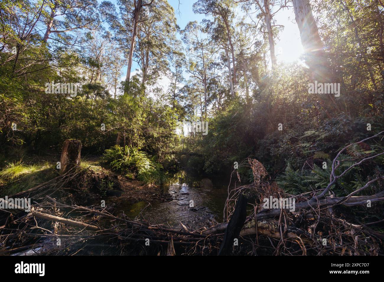 Lerderderg Heritage River Walk in Melbourne Australia Stock Photo - Alamy