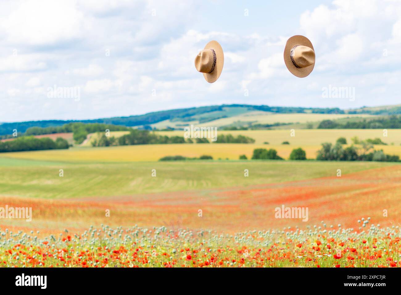 Poppy hat hi-res stock photography and images - Alamy