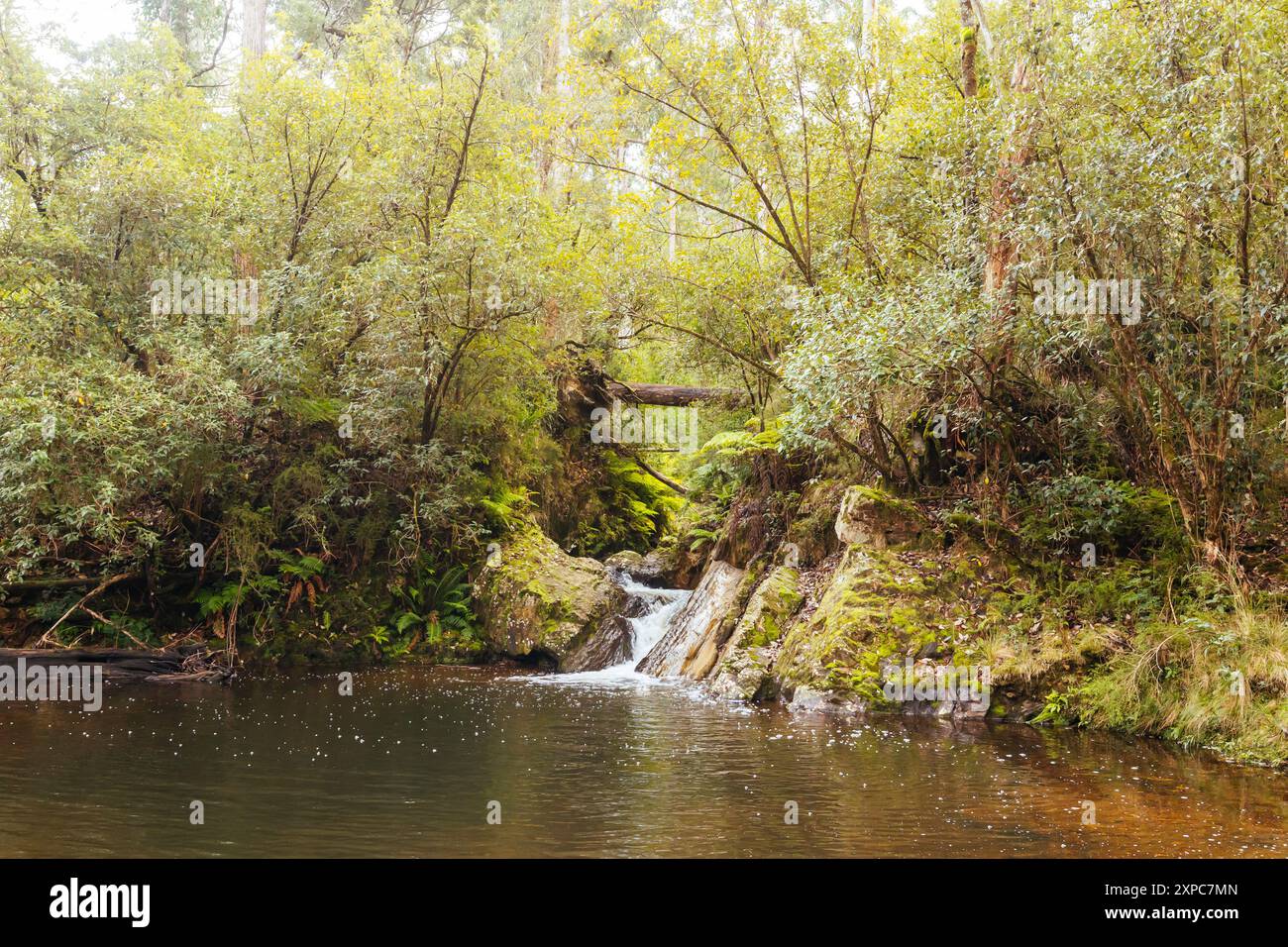 Lerderderg Heritage River Walk in Melbourne Australia Stock Photo - Alamy