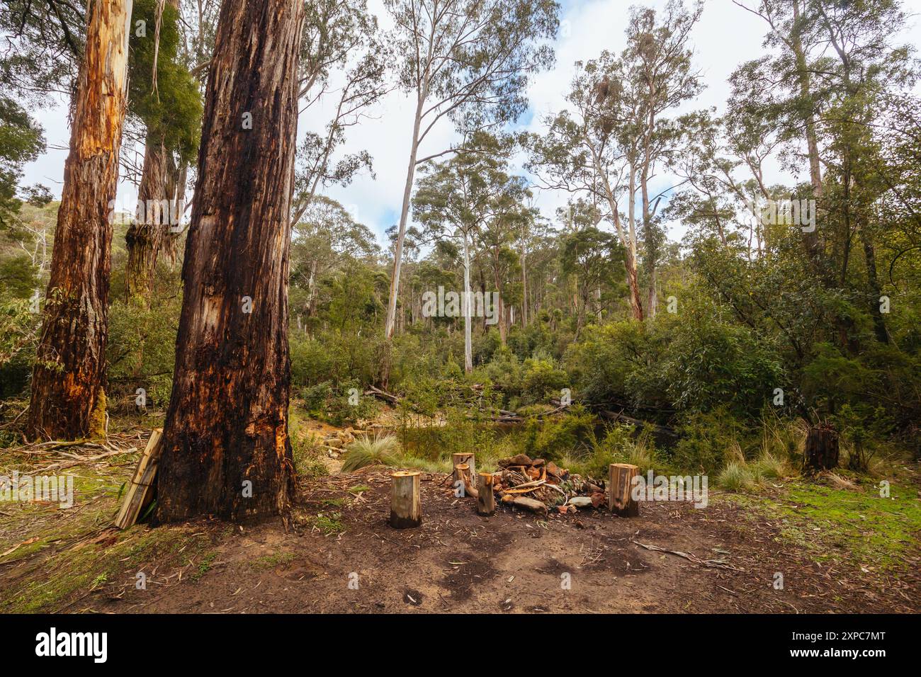 Lerderderg heritage river walk hi-res stock photography and images - Alamy