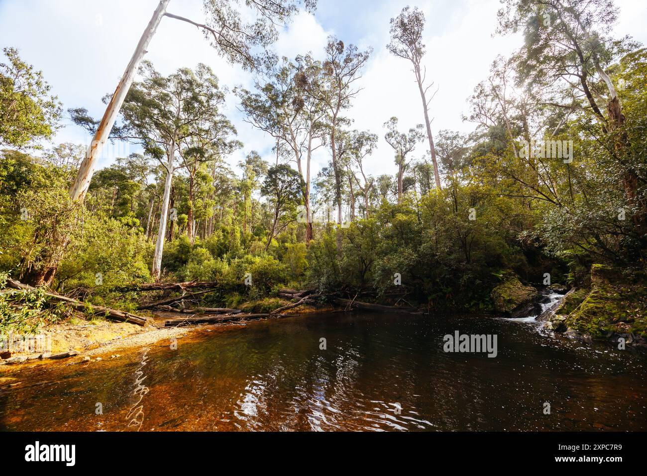 Lerderderg Heritage River Walk in Melbourne Australia Stock Photo - Alamy