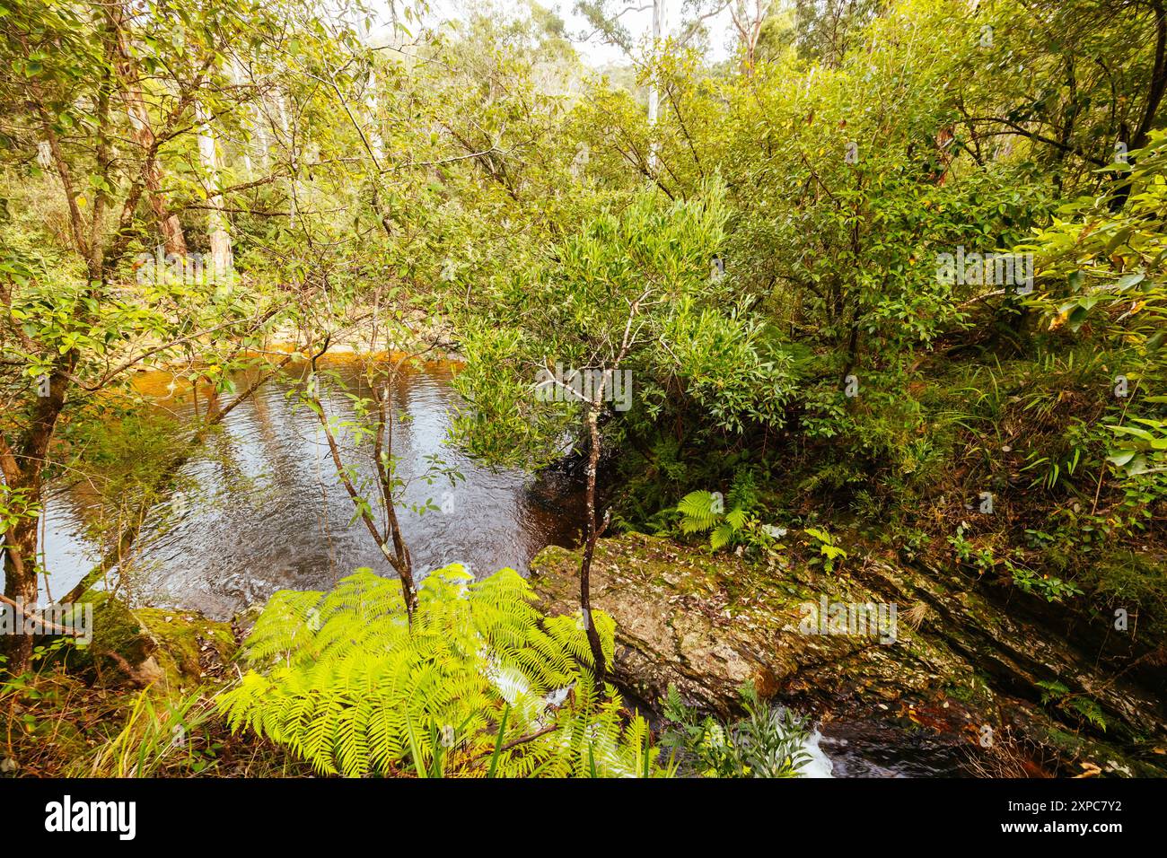 Lerderderg Heritage River Walk in Melbourne Australia Stock Photo - Alamy