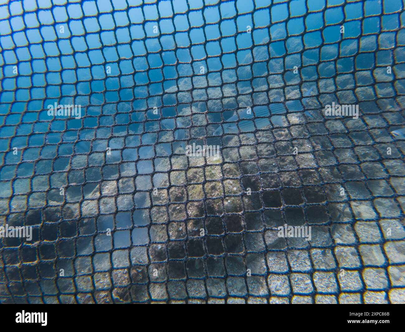 Underwater photo, anti-shark net on the beach of Monaco Stock Photo - Alamy
