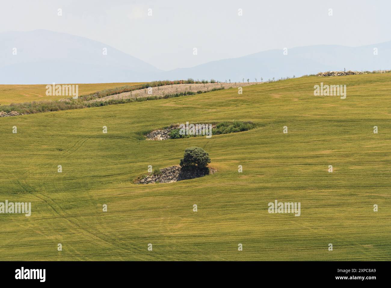 Expansive view of textured green fields with distinctive rock piles ...
