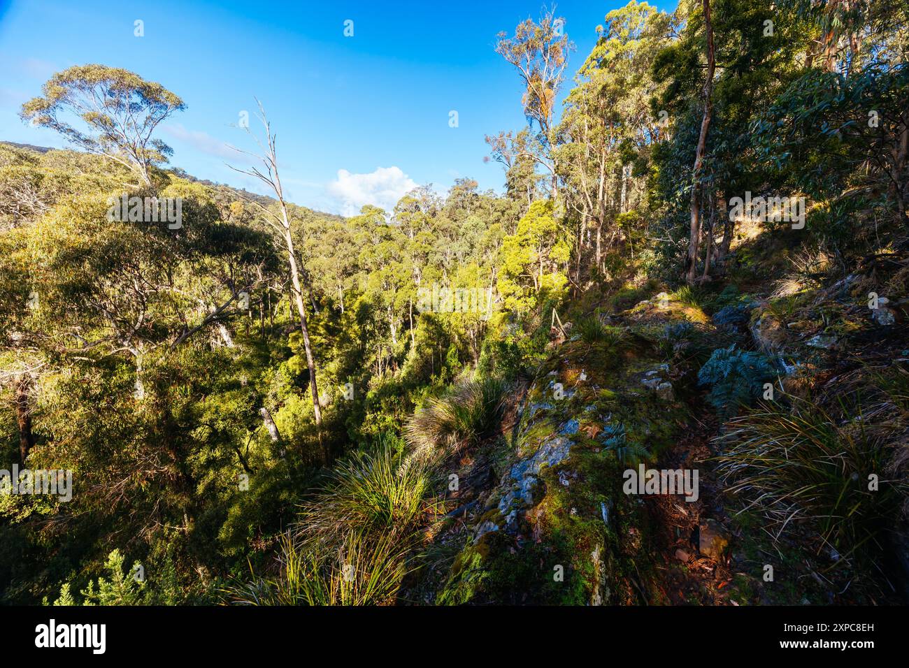 Lerderderg Heritage River Walk in Melbourne Australia Stock Photo - Alamy
