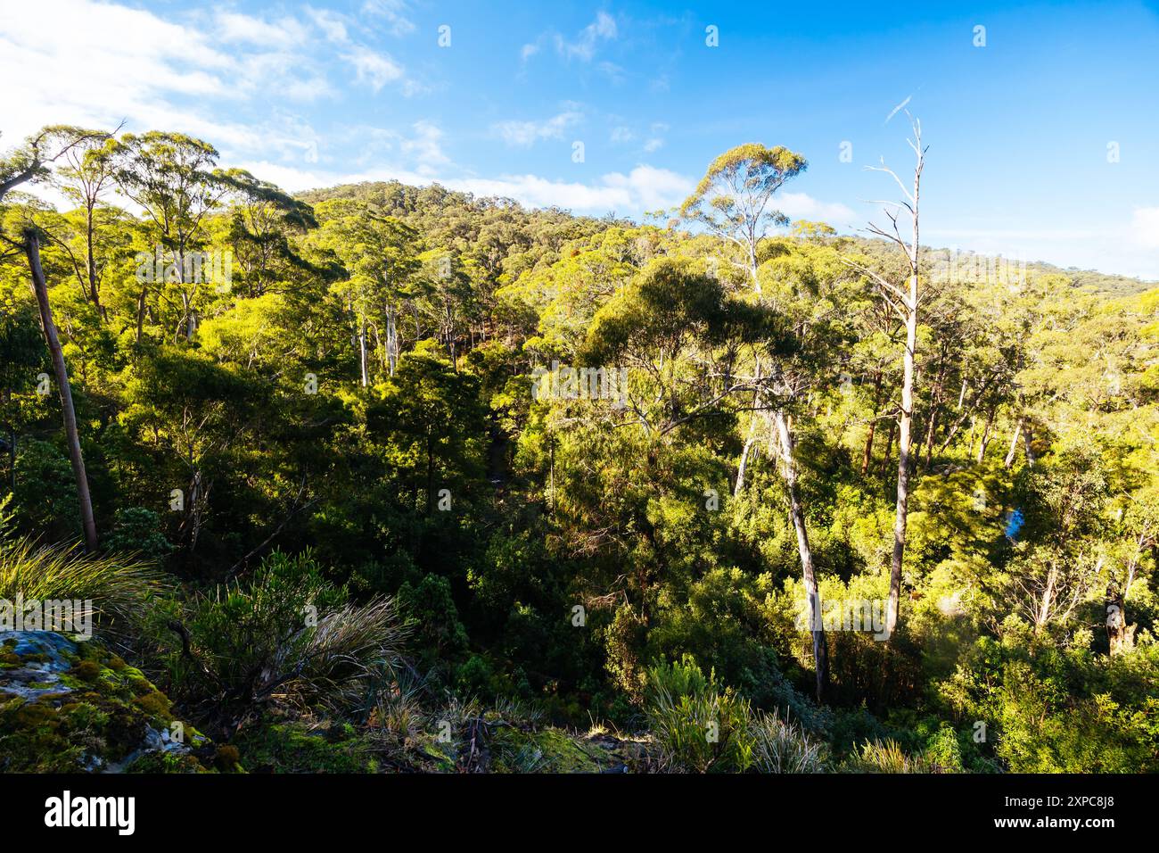 Lerderderg Heritage River Walk in Melbourne Australia Stock Photo - Alamy