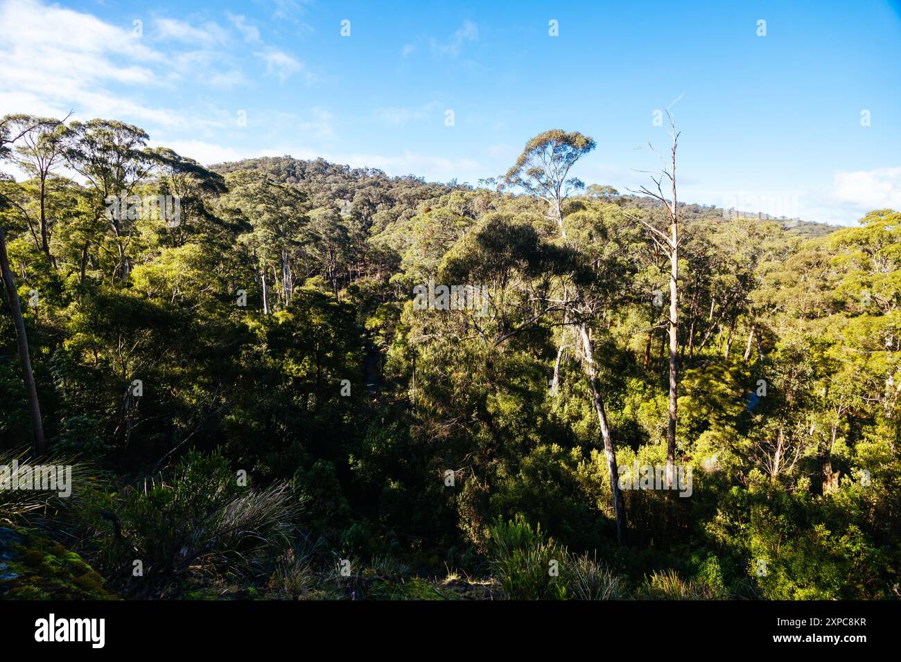 Lerderderg Heritage River Walk in Melbourne Australia Stock Photo - Alamy