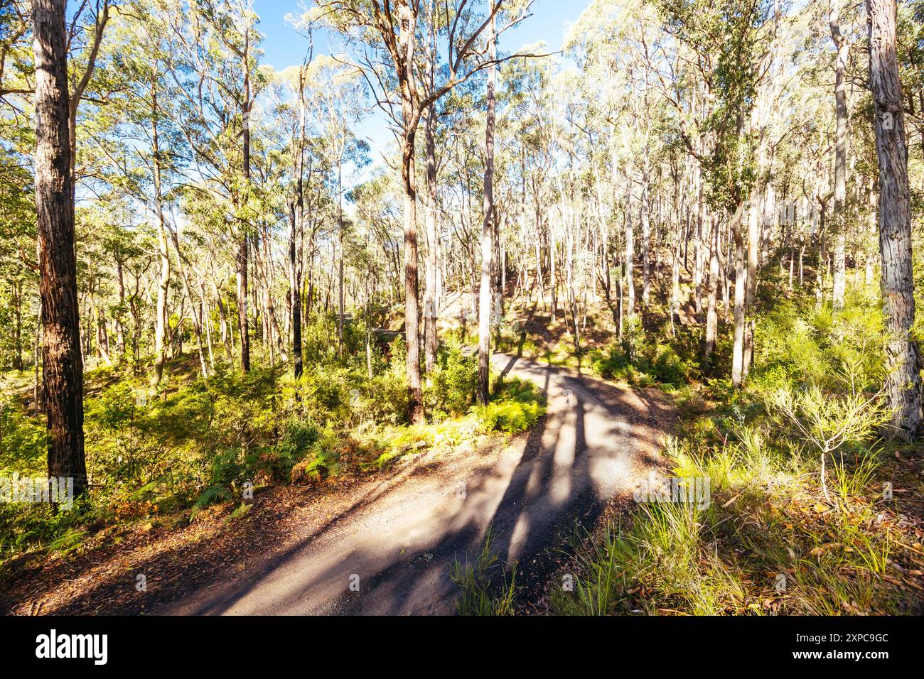 Lerderderg Heritage River Walk in Melbourne Australia Stock Photo - Alamy