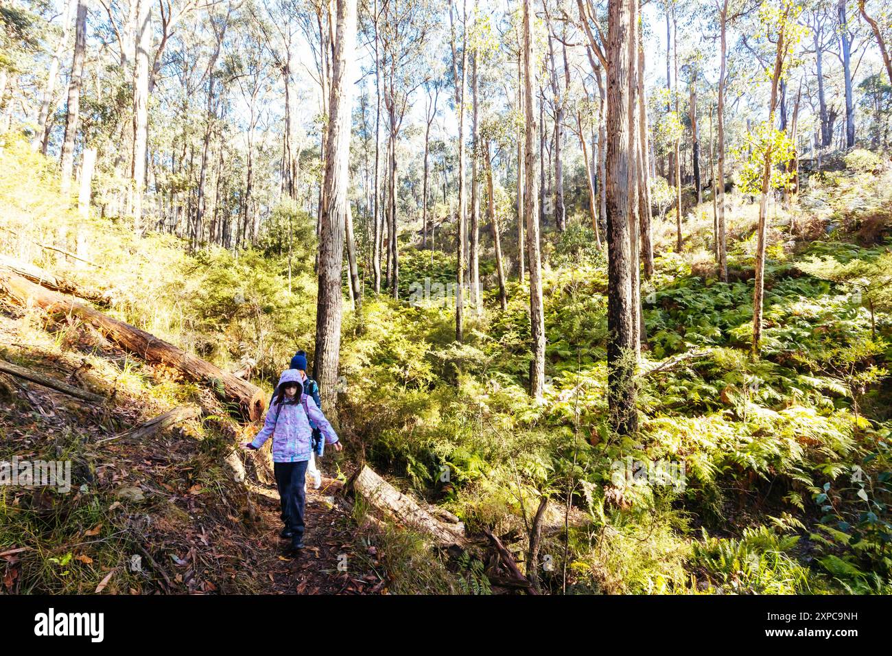 Lerderderg Heritage River Walk in Melbourne Australia Stock Photo - Alamy
