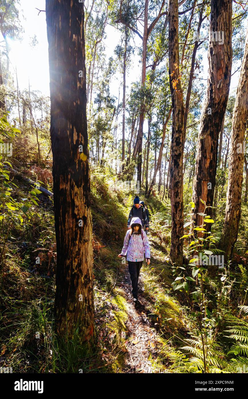 Lerderderg Heritage River Walk in Melbourne Australia Stock Photo - Alamy