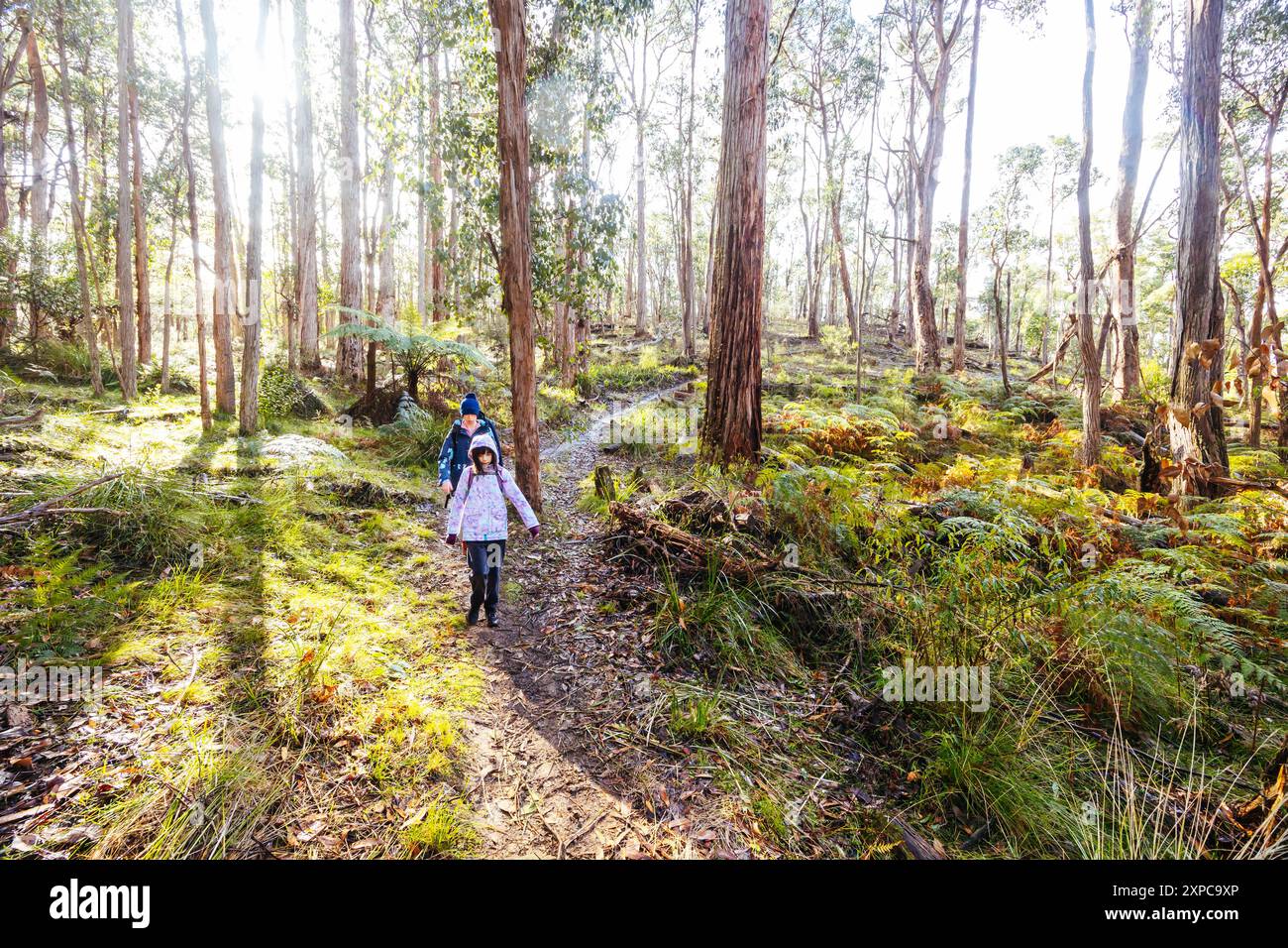 Lerderderg Heritage River Walk in Melbourne Australia Stock Photo - Alamy