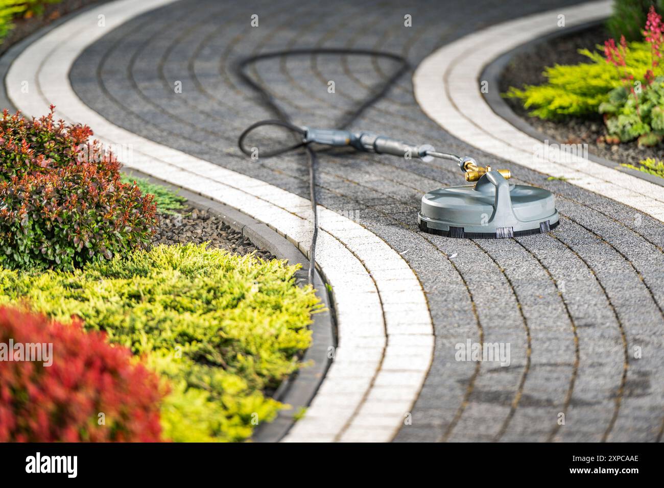 A pressure washer tool lies on a curved garden pathway, with vibrant ...