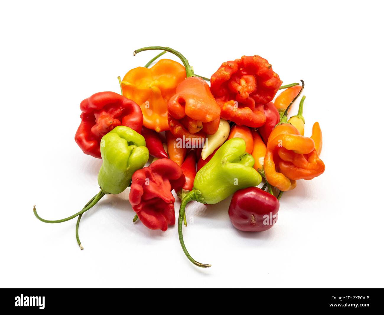 heap of colorful assorted chili peppers on a white background Stock ...