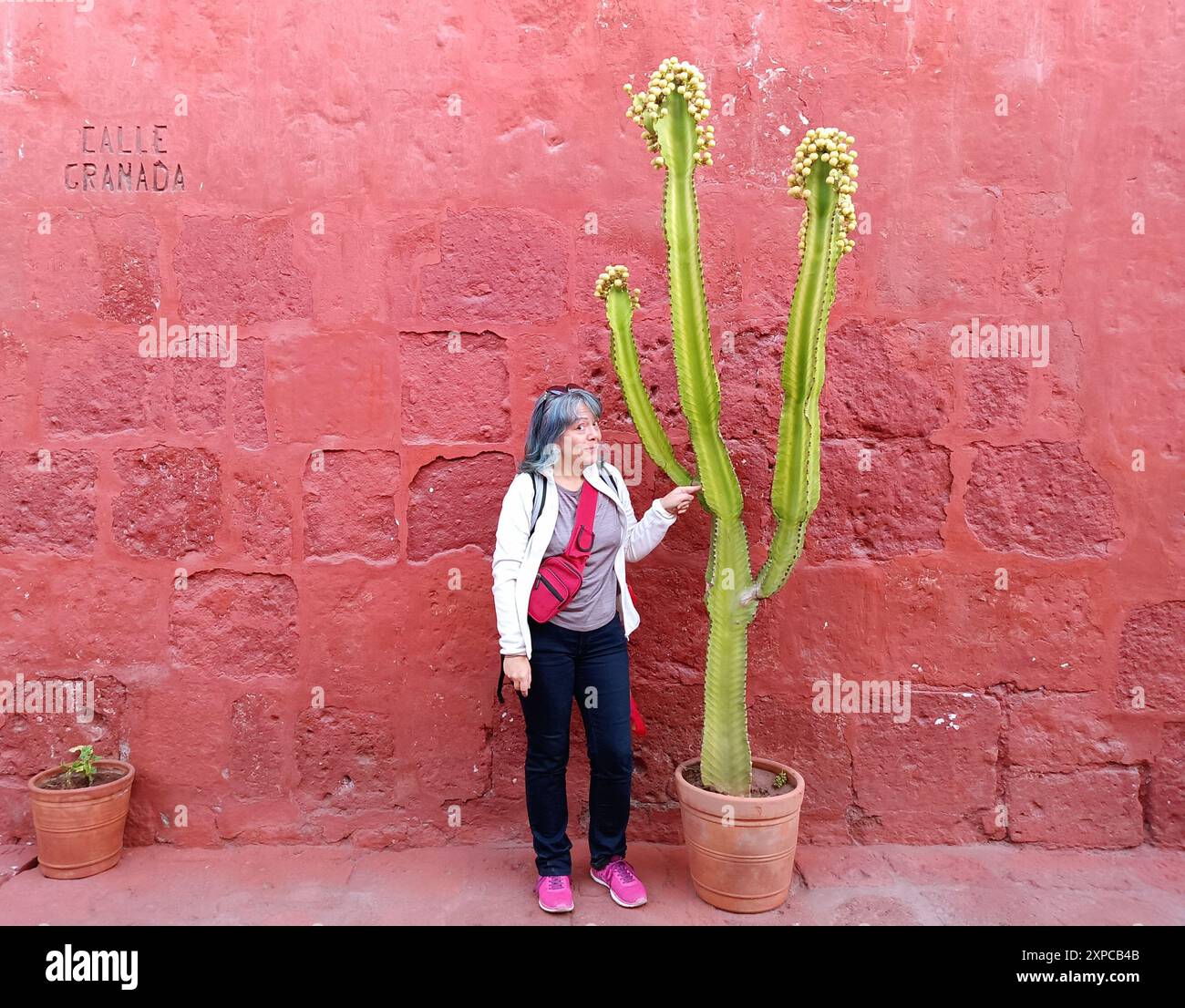 Woman finger large cactus hi-res stock photography and images - Alamy