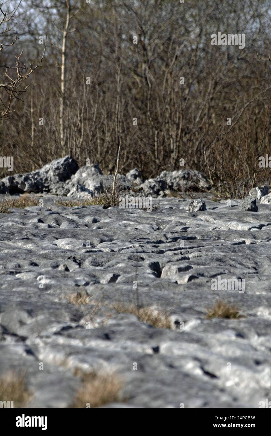 Limestone pavement on the summit plateau Hutton Roof Crags near Burton ...