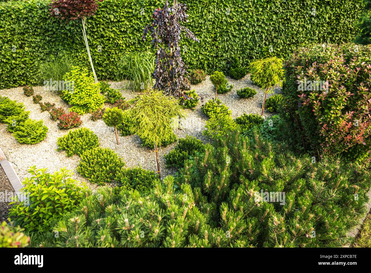 A well-maintained garden features diverse shrubs, neatly trimmed ...