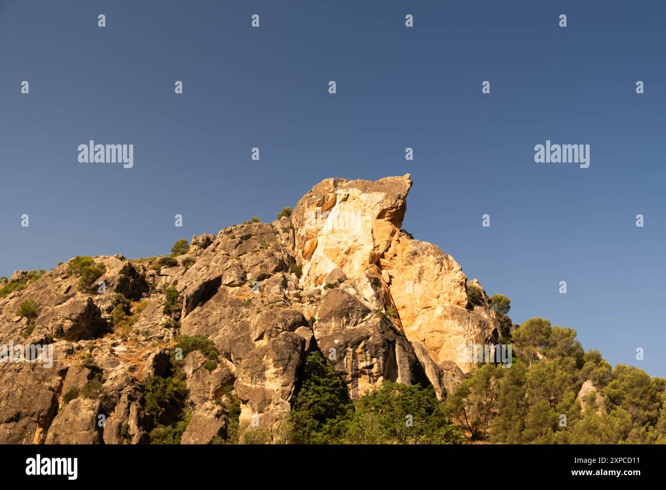 A dog-shaped rock formation catches the light of dawn at the ...