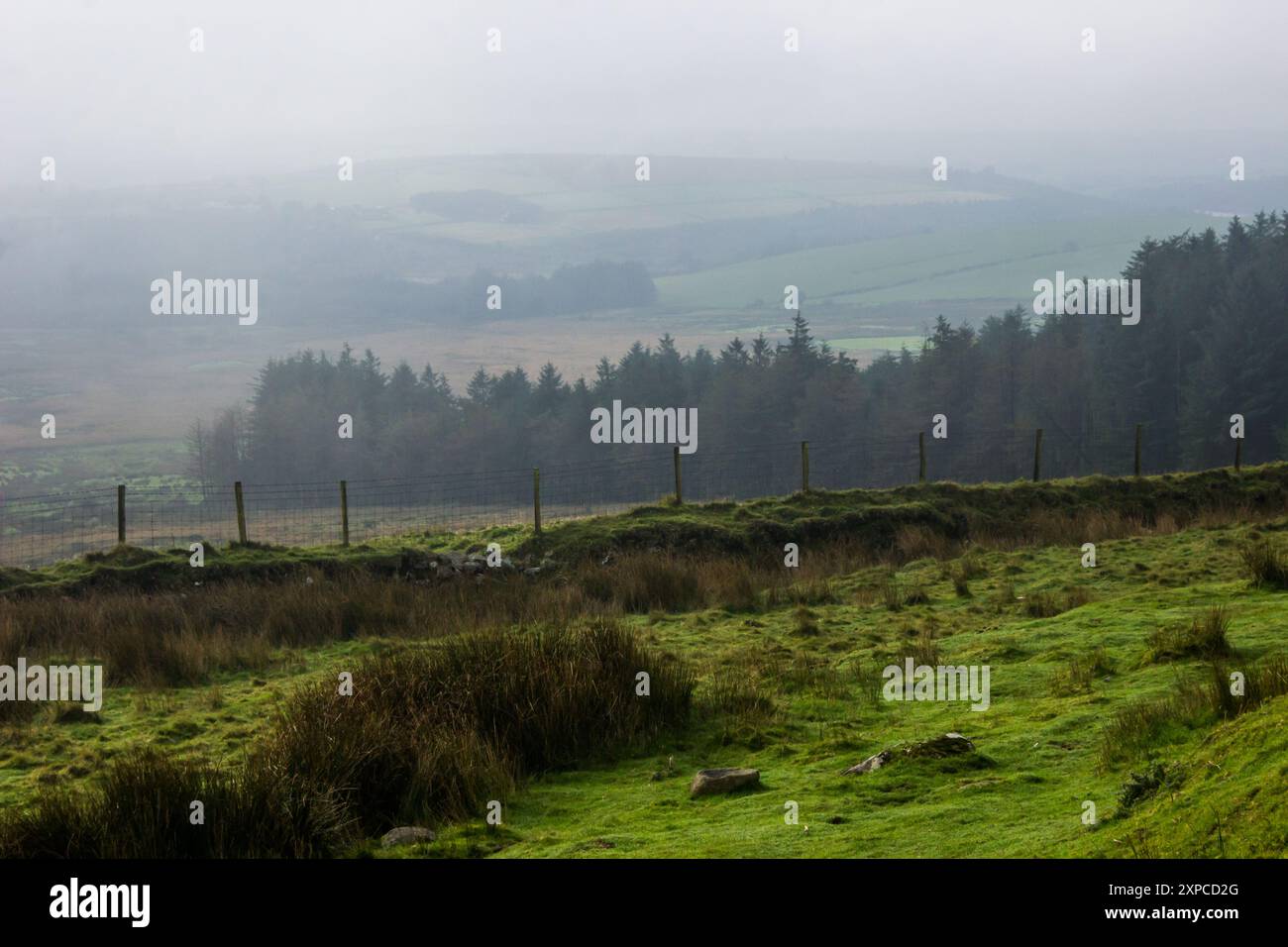 Mysterious misty Welsh landscape Stock Photo - Alamy