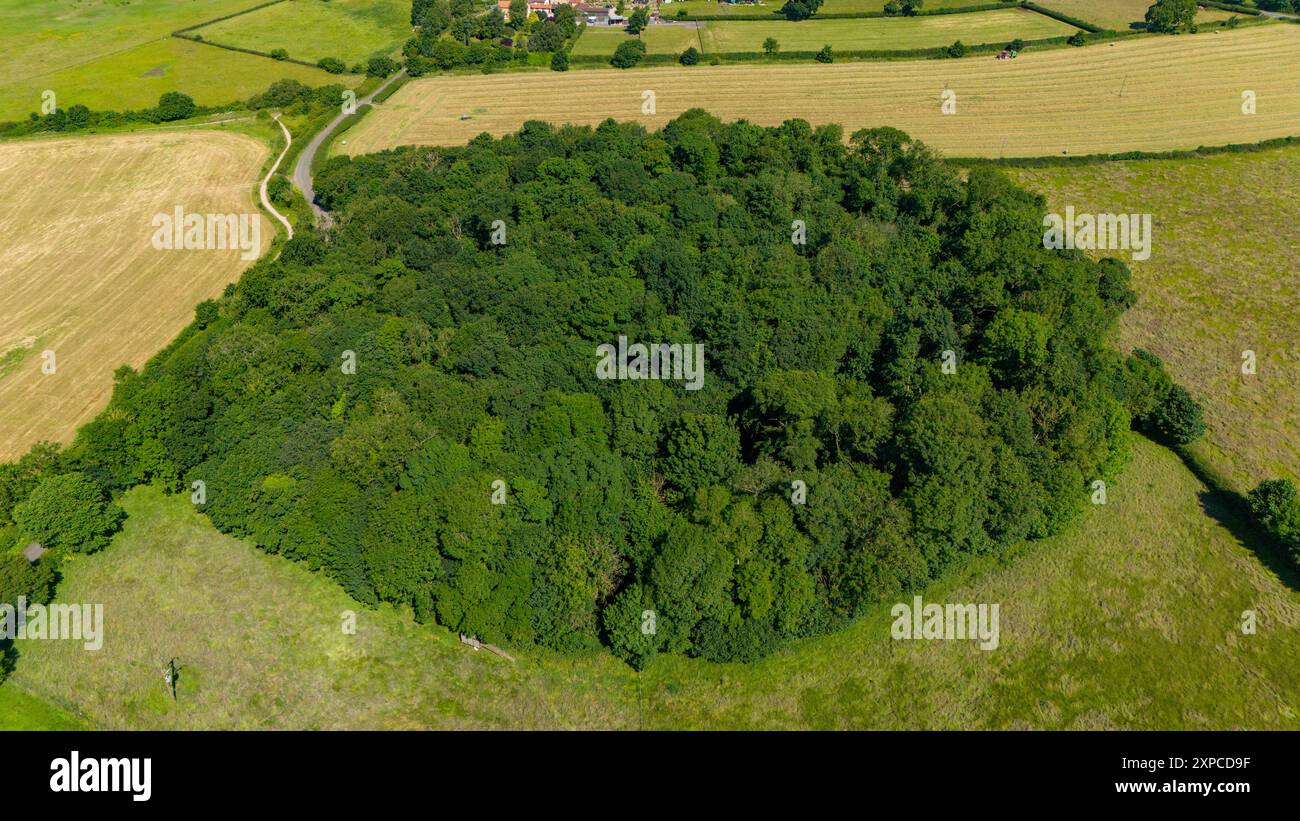 Thornborough Henges are an ancient monument complex that includes the ...