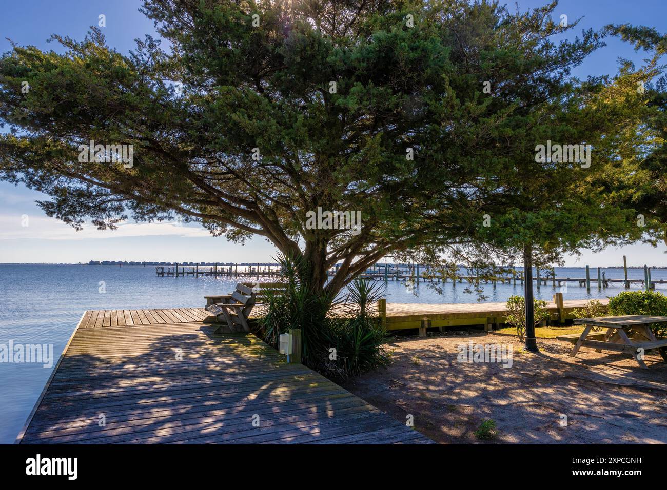 A nice shady spot along the boardwalk ti sit and enjoy the view of the harbor in Manteo on ...