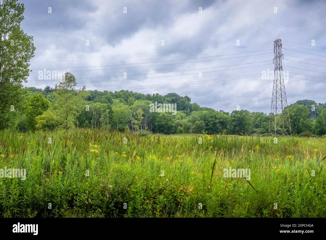 The beautiful field full of grass and trees in Cuyahoga Valley National Park, in Cleveland, a ...