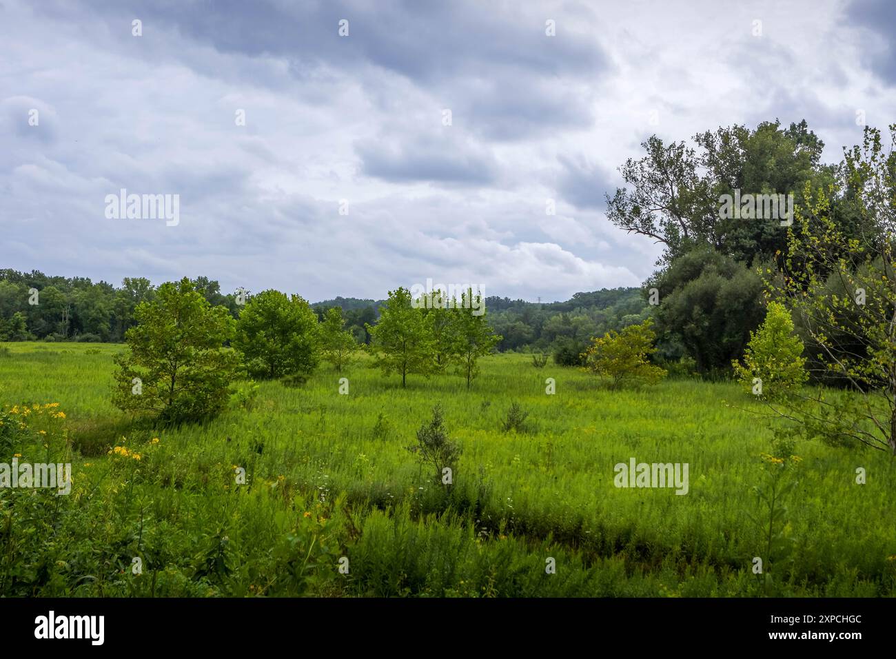 The beautiful field full of grass and trees in Cuyahoga Valley National ...