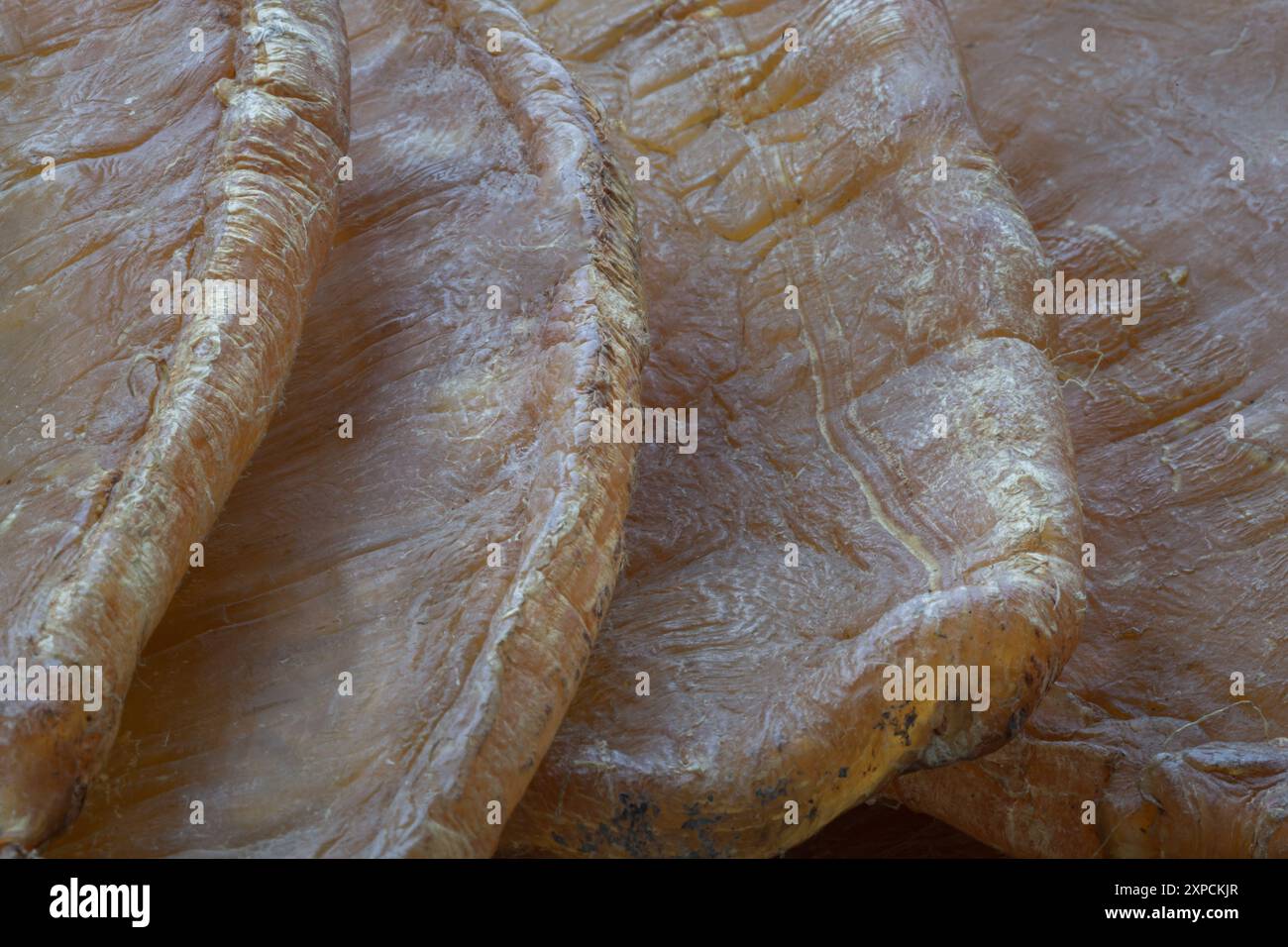 Close-up of Fish Maw Soup or Dried Fish Stomach (Dried Fish Bladder ...