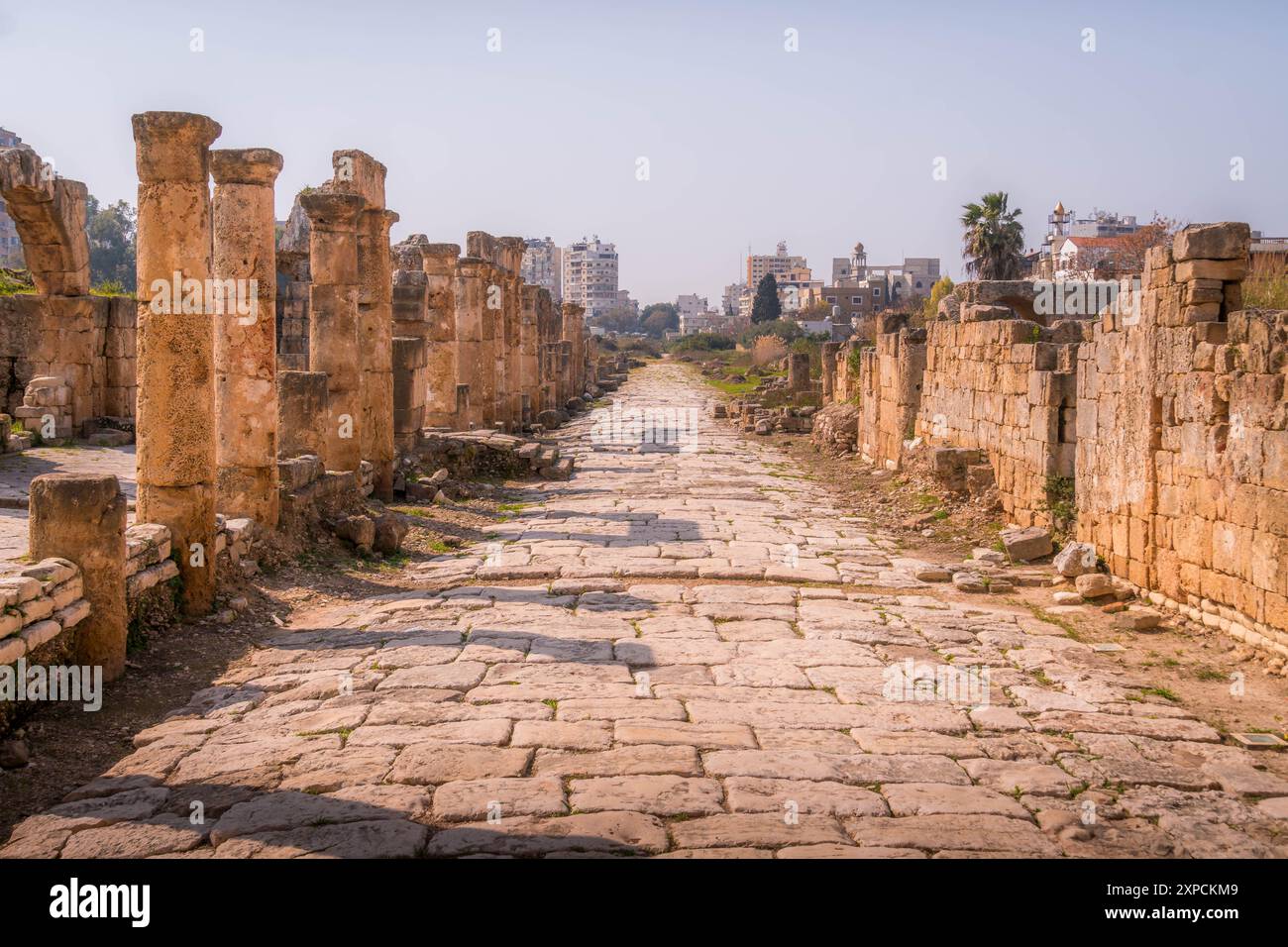 The ruins of Roman era columns at Sour Necropolis, a UNESCO heritage ...