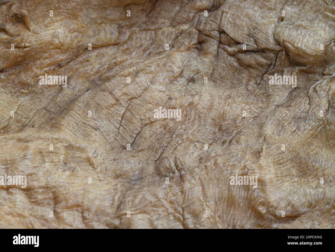 Expensive chinese medicinal herbs hi-res stock photography and images ...