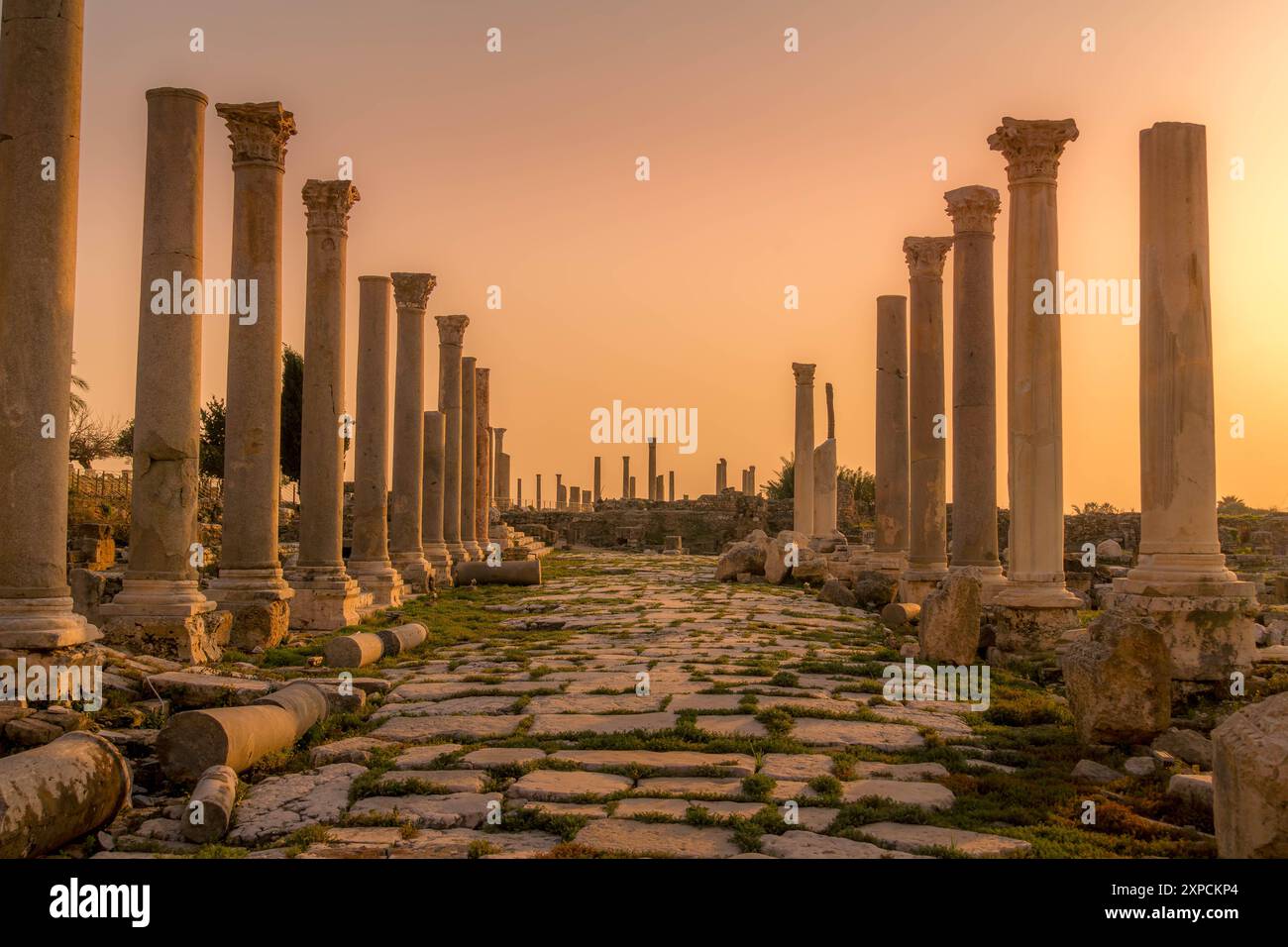 The row of Roman columns at the Al Mina archeological site at Tyre ...