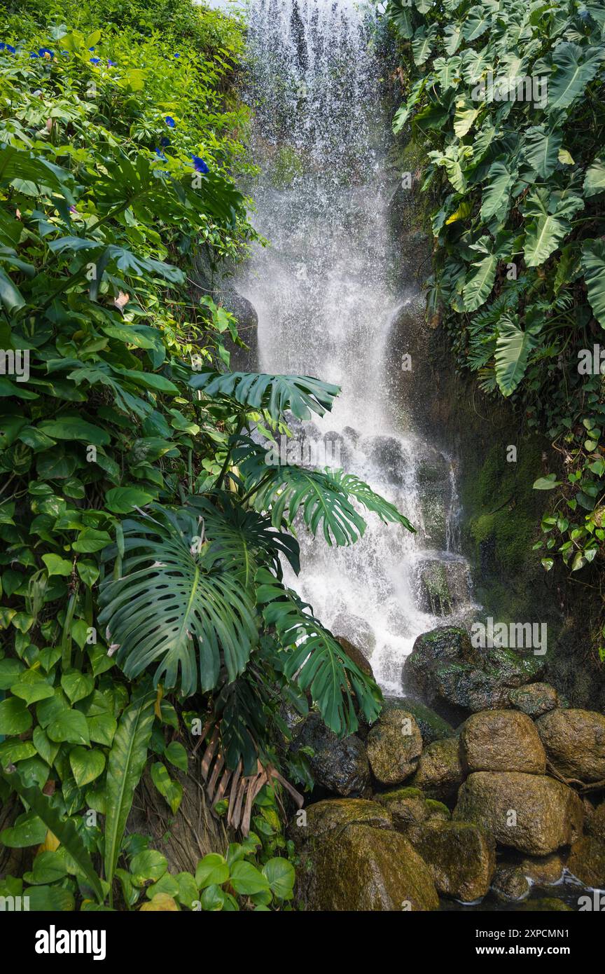 Waterfall through tropical vegetation cascading over rocks in ...