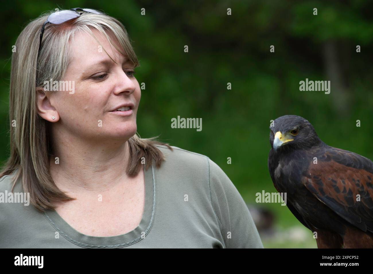 Woman Handler with Hawk Stock Photo - Alamy