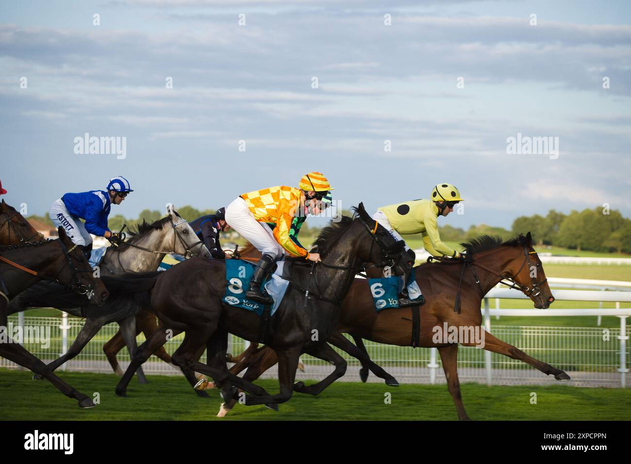 Jockeys gallop from the starting gate at York including Robert Havlin ...
