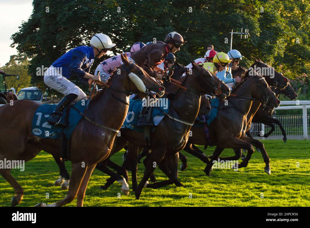 Jockeys and their horses burst from the gates at York during the final ...