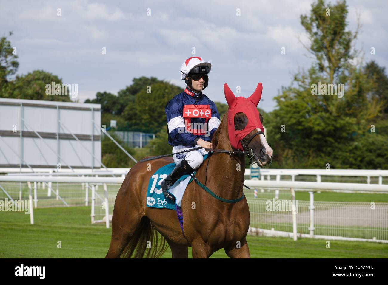 York races jason hart hi-res stock photography and images - Alamy