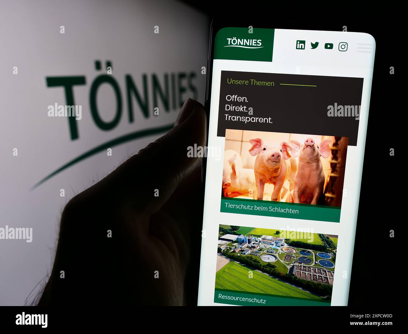 Person holding cellphone with website of meat processing company ...
