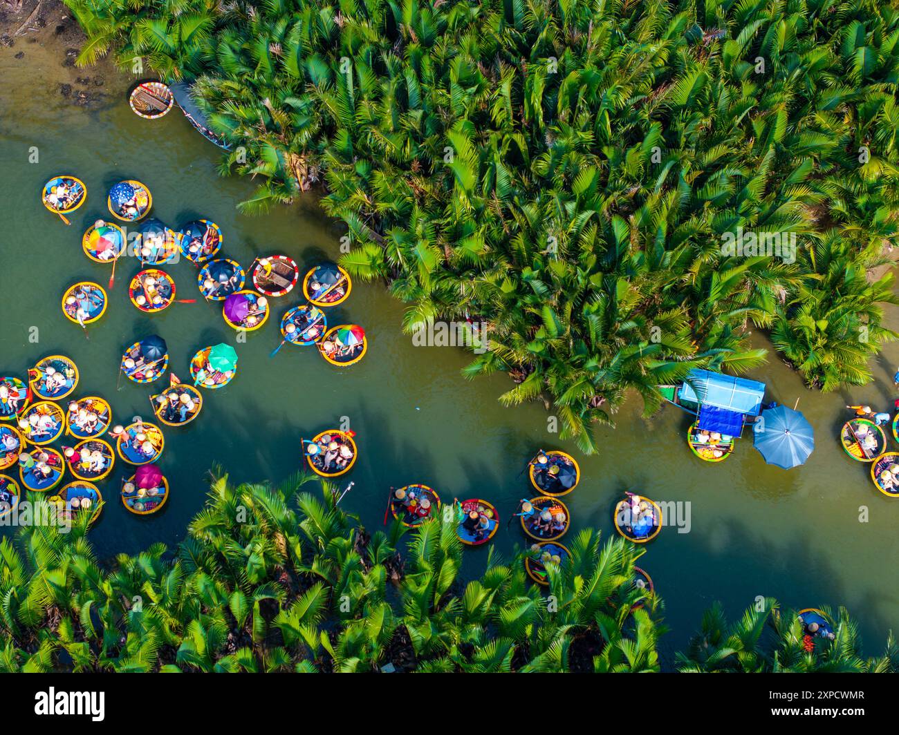 Aerial view of a coconut village basket boat tour. Palms forest in Hoi ...