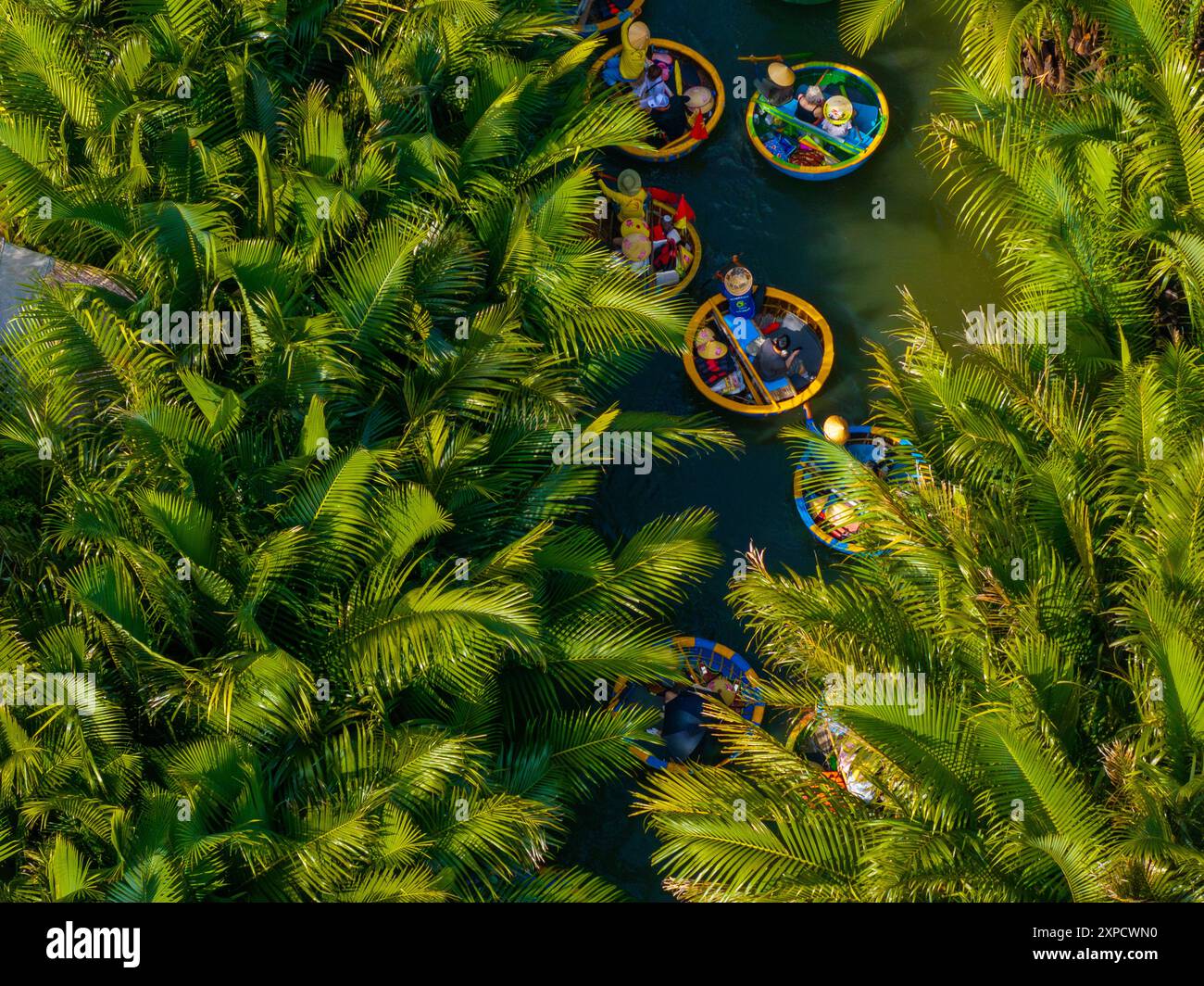 Aerial view of a coconut village basket boat tour. Palms forest in Hoi ...